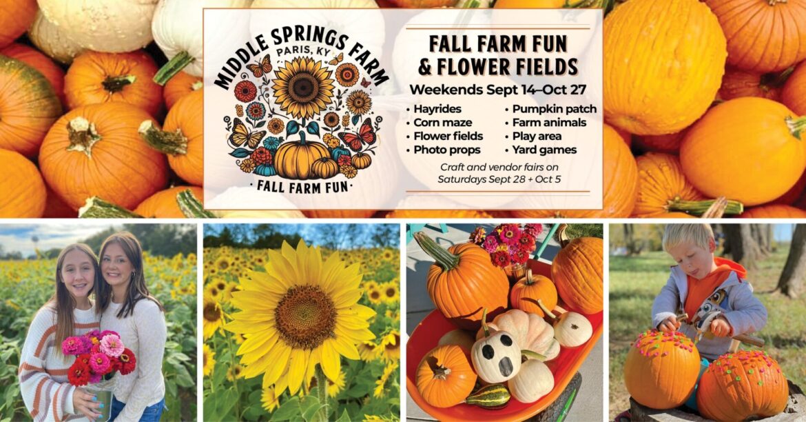 Middle Springs Farm - Fall Farm Fun and Flower Fields - Paris Bourbon ...